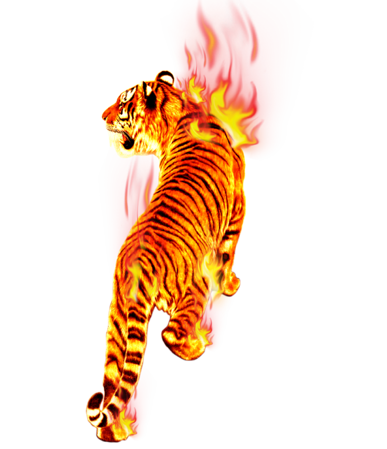 T789 app - Best App for earning real taka in Bangladesh